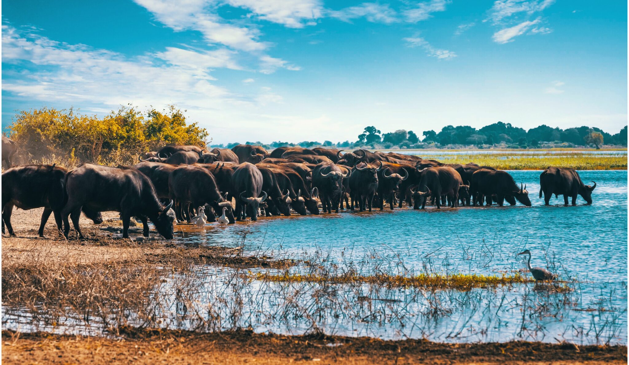 Exploring the African Diversity: A Glimpse into Each Nation - Africa ...