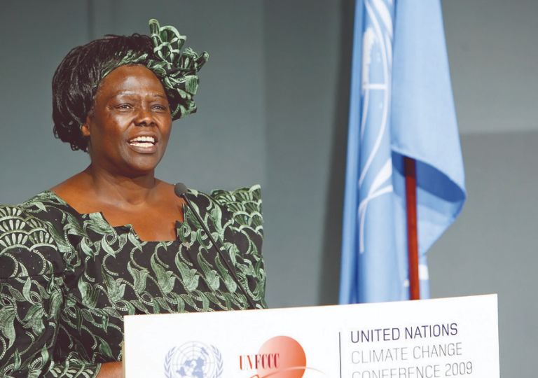 Wangari Maathai Legacy: Her Role in Environment Conservation- Africa ...